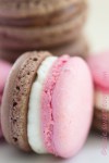 Chocolate Strawberry and Neapolitan Macarons – SUZIE SWEET TOOTH