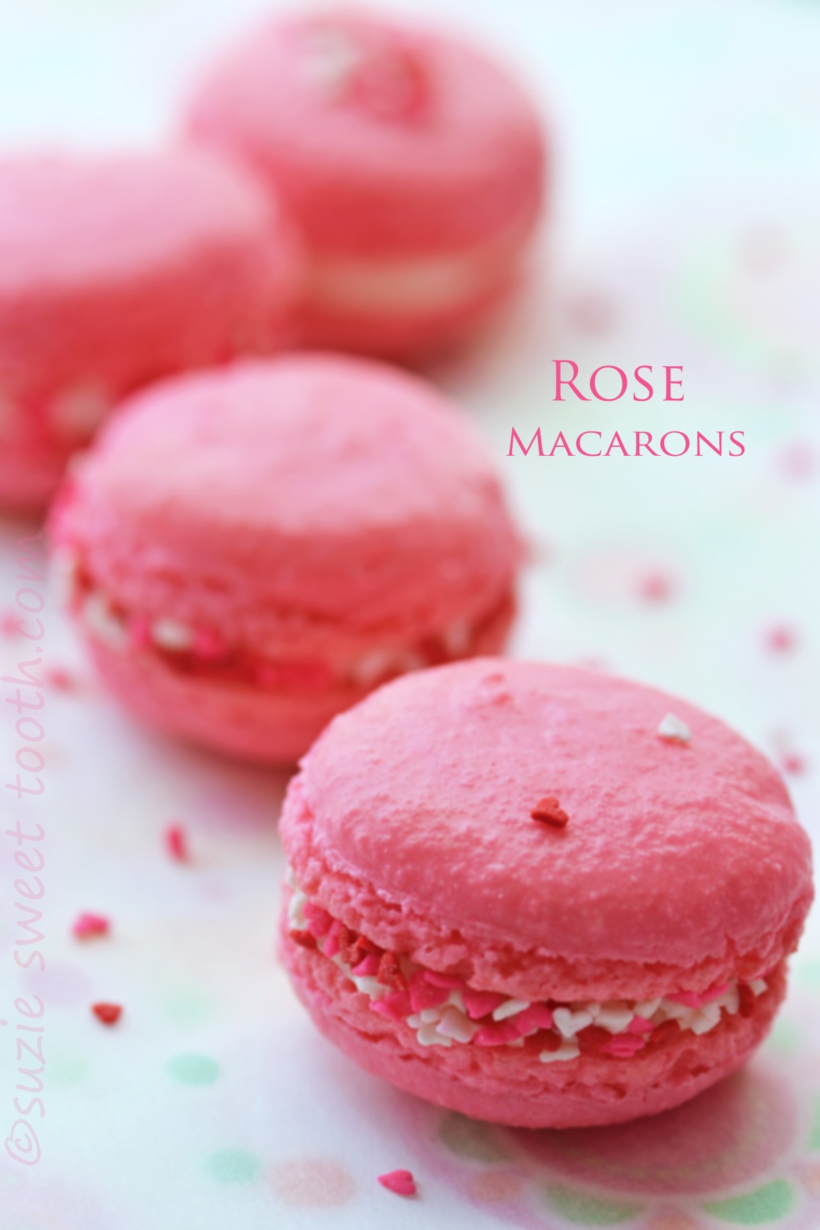 Rose Macarons – SUZIE SWEET TOOTH